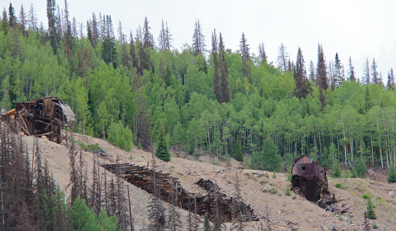 Colorado Lifestyle: Bachelor Loop Scenic Drive