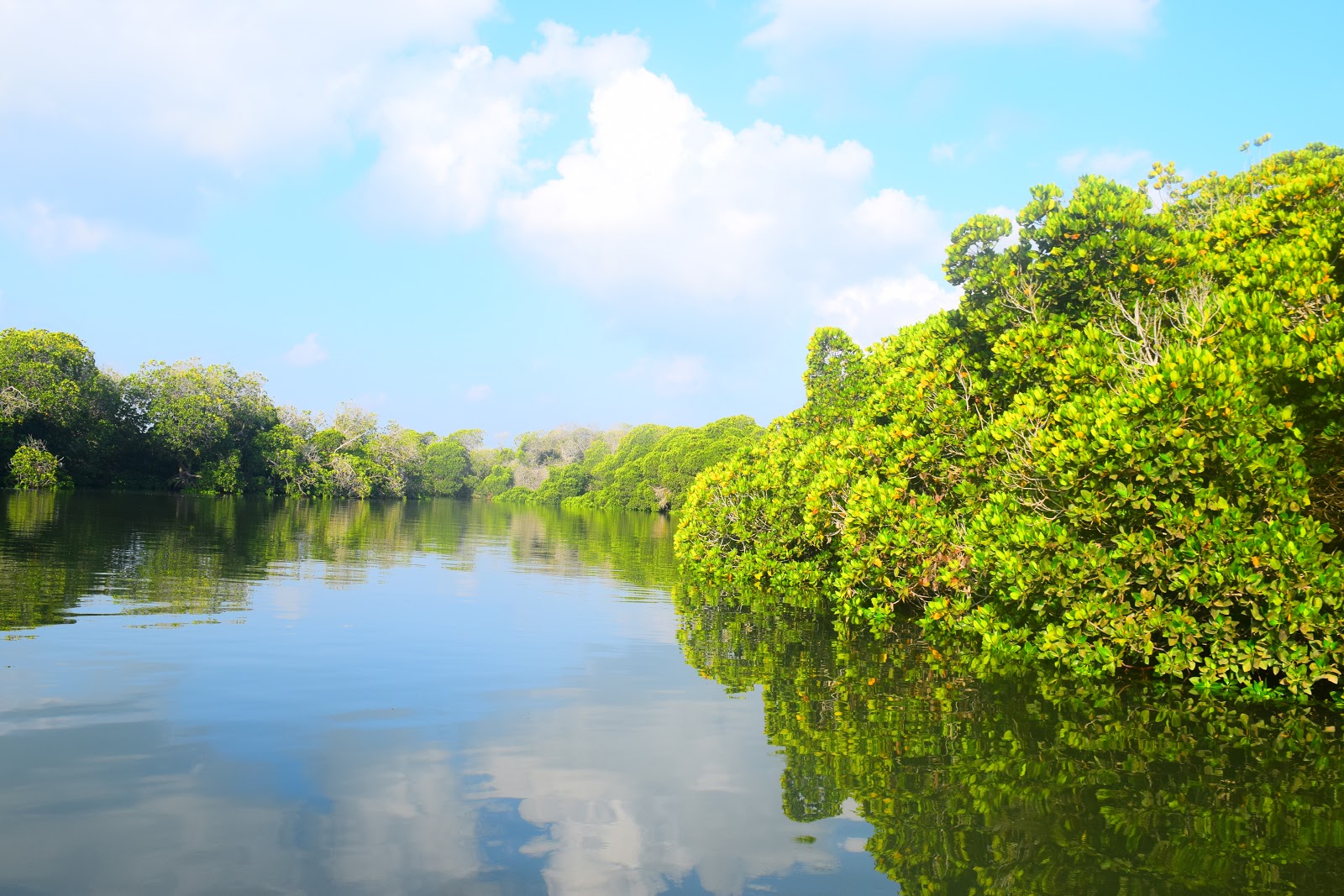 Seylac & Jasiirada Sacaadadiin