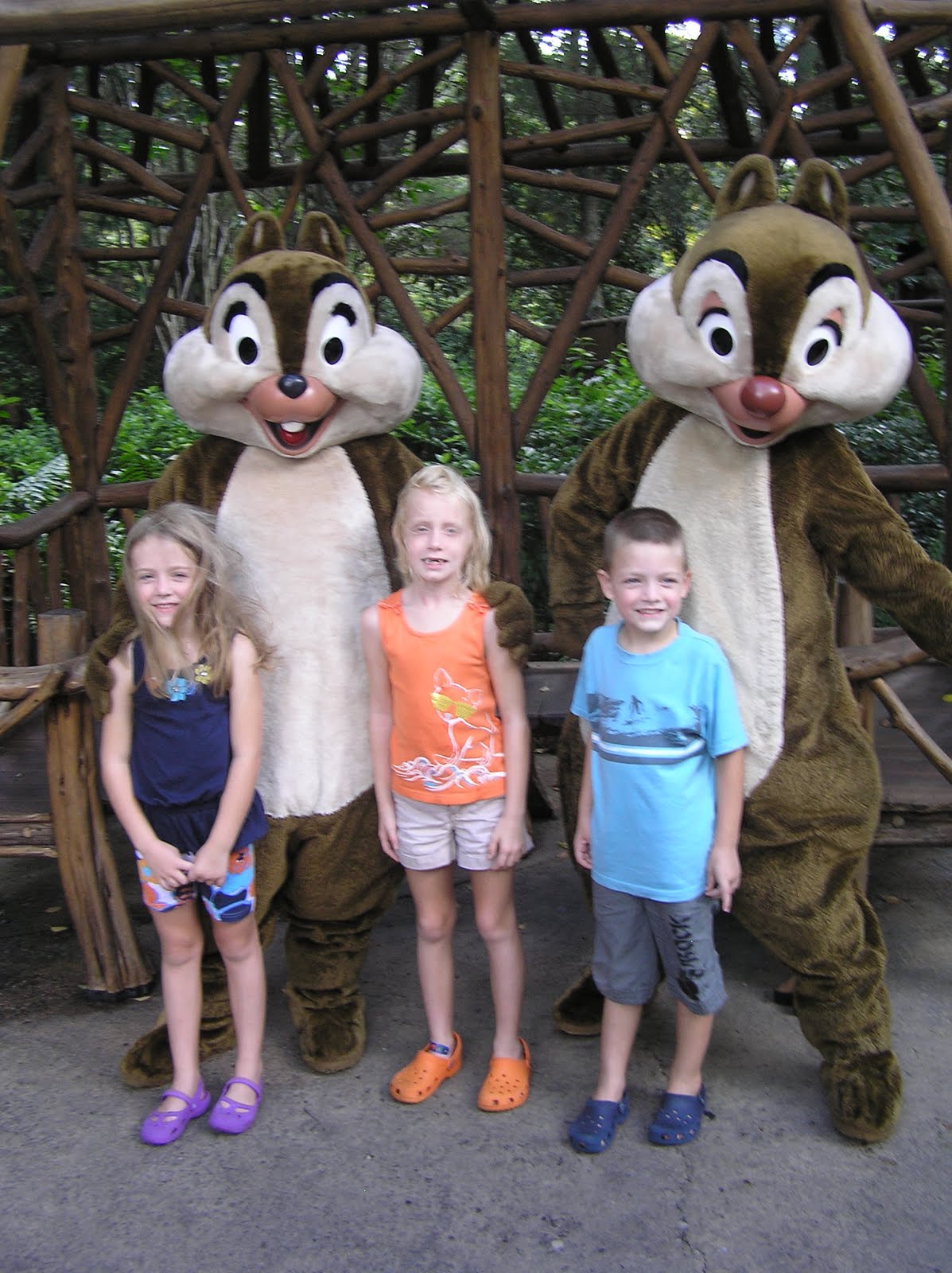 Disney Character Collection: Camp Minnie-Mickey