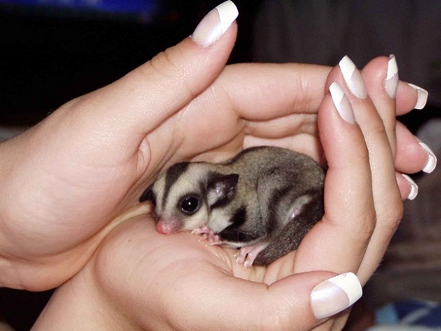 Share these pictures