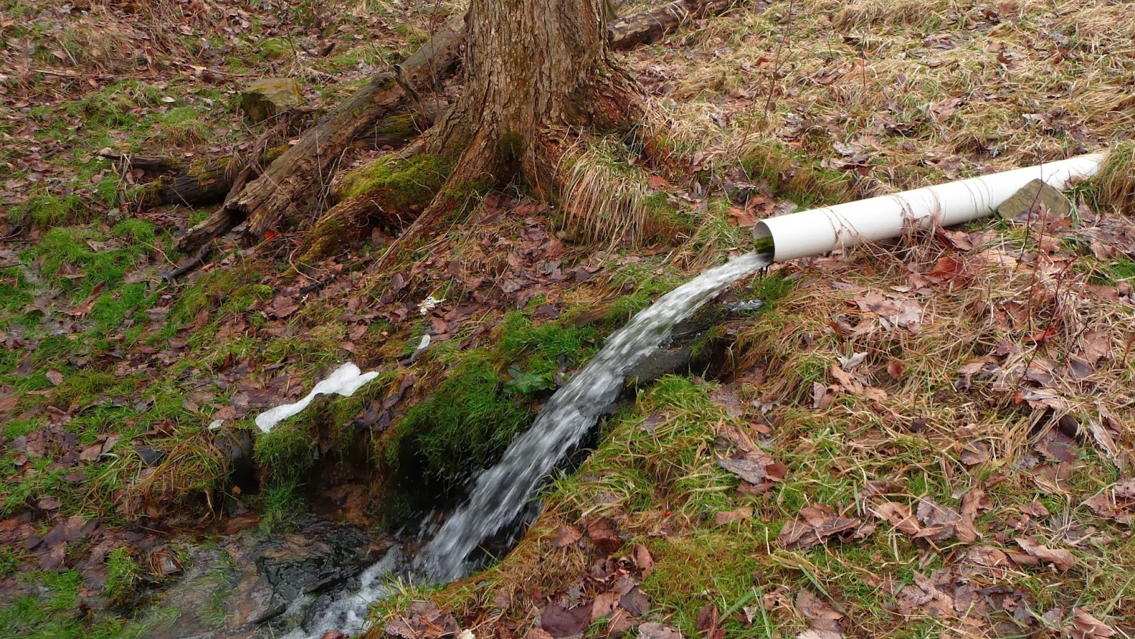 Wild Rose Farm: January 2014