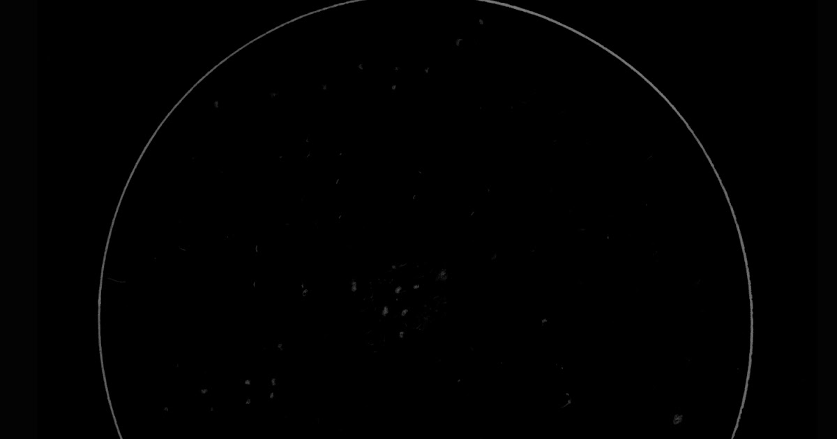 Observando el Universo: Cumulo abierto NGC 6991