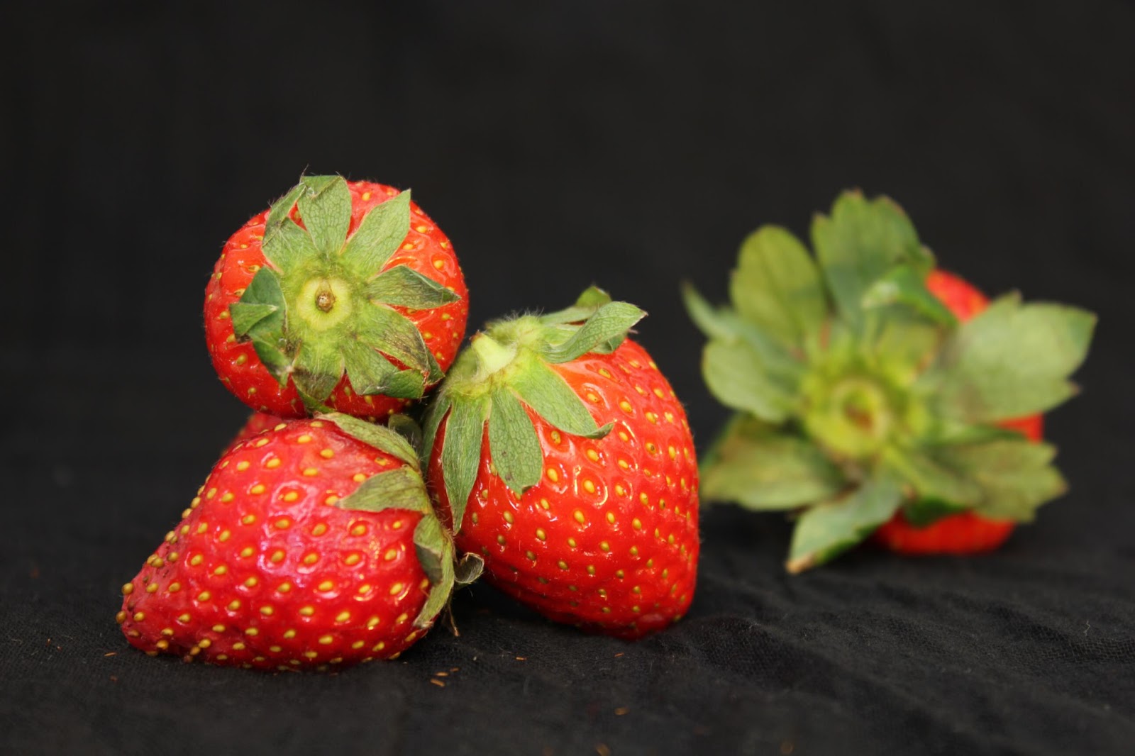 Foto Blogger: Cómo fotografiar un bodegón: material, técnica y composición