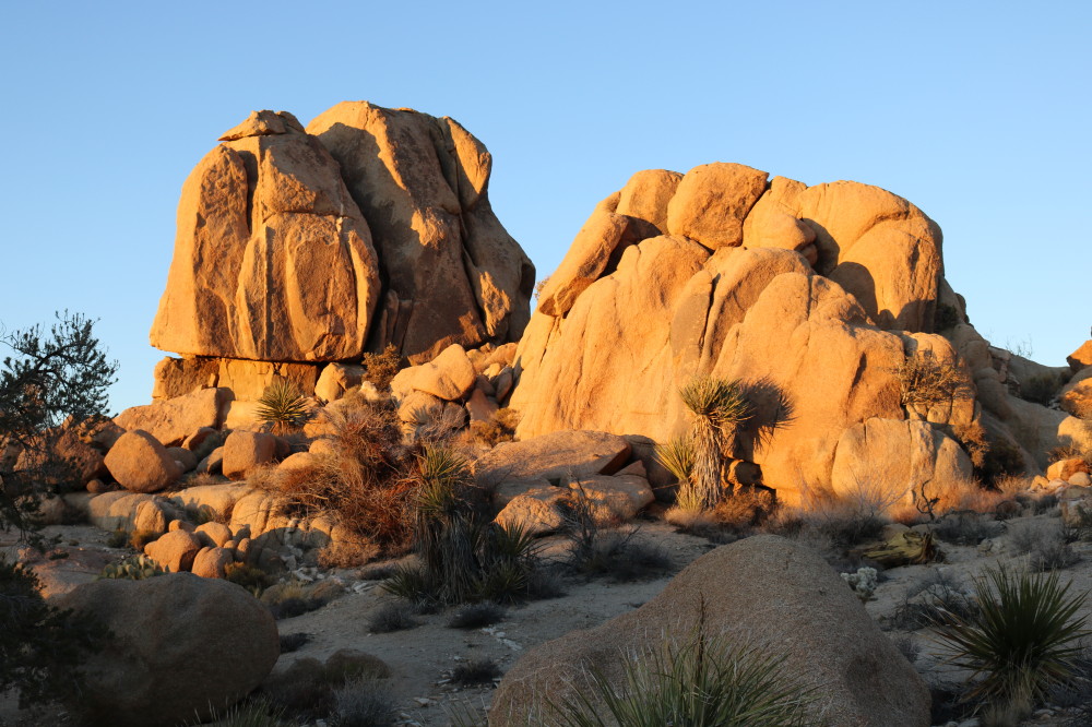Dan's Hiking Blog: Joshua Tree - Negro Hill and Desert Queen Mine - Dec ...