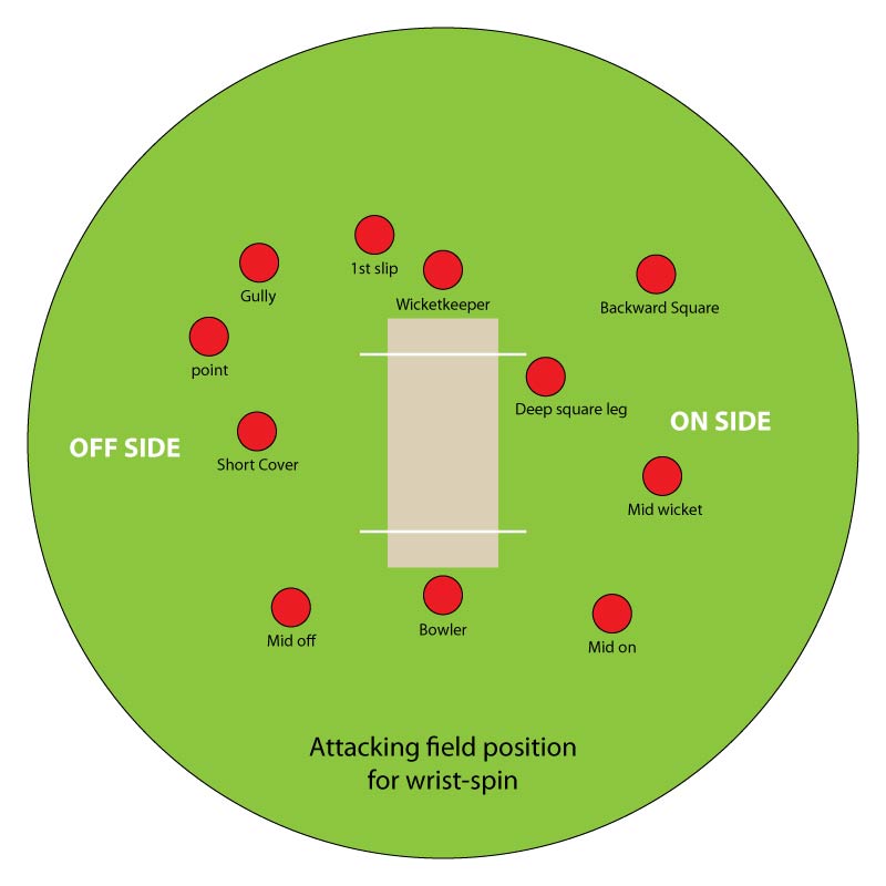 Cricskill: Wrist Spin Development