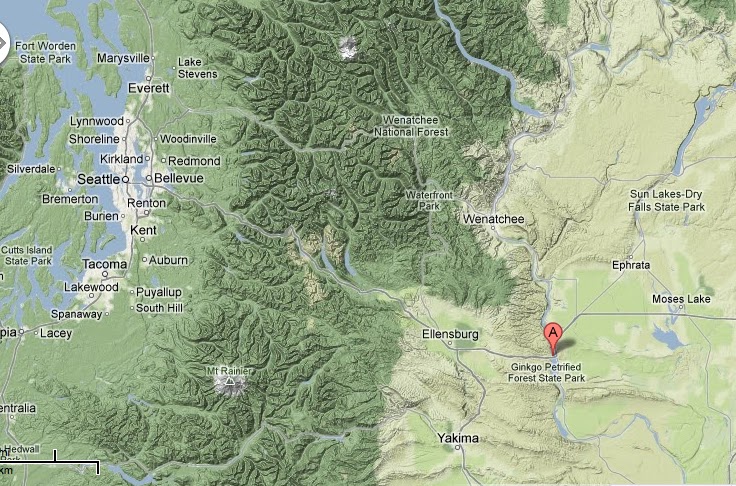 Cliff Mass Weather Blog: Wind, Wildflowers and Warmth