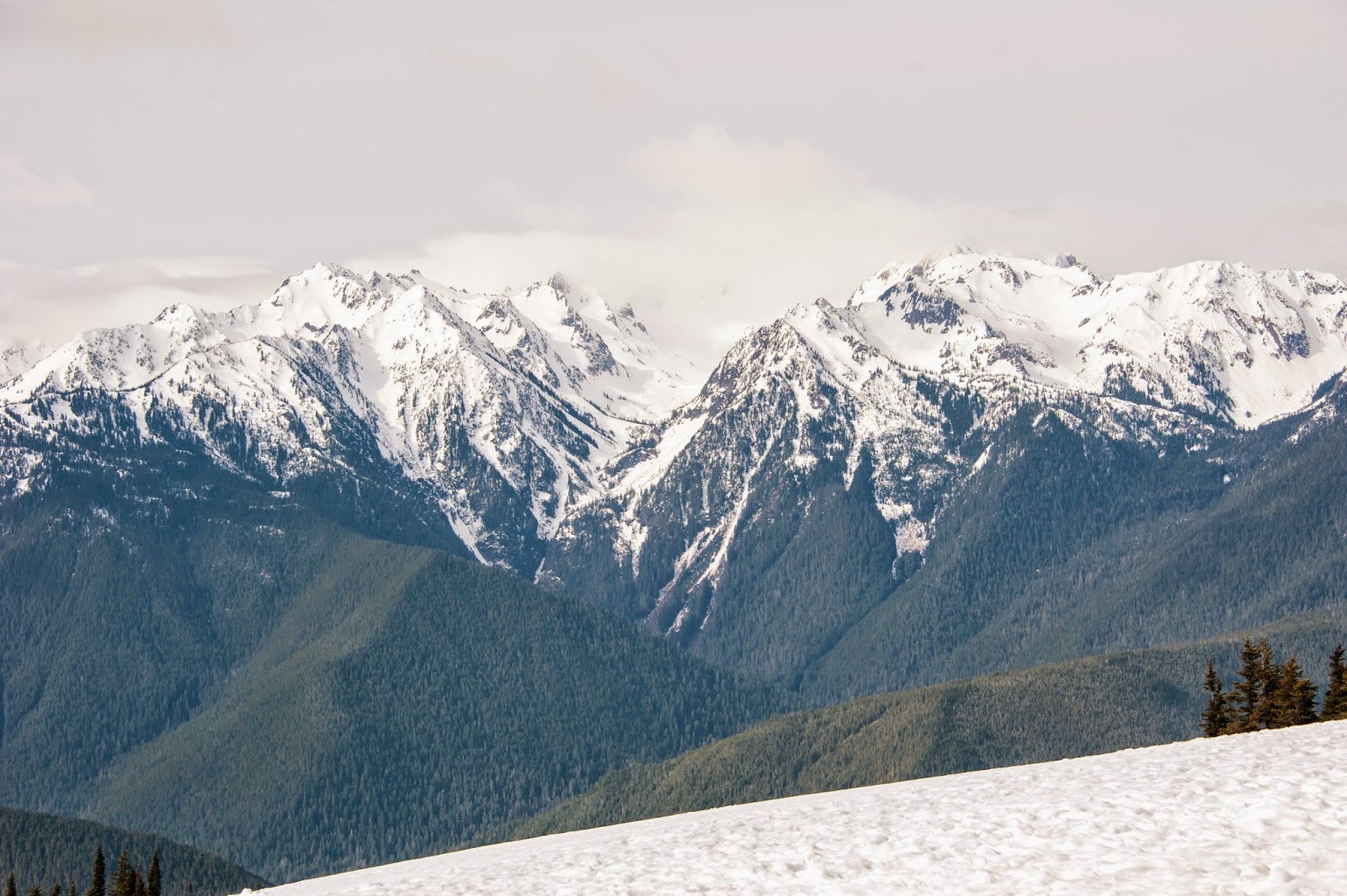 KM SNAPS: Port Angeles, WA: Hurricane Ridge