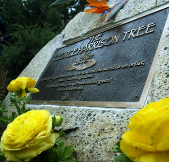 Media Confidential: George Harrison Memorial Tree Killed By Beetles