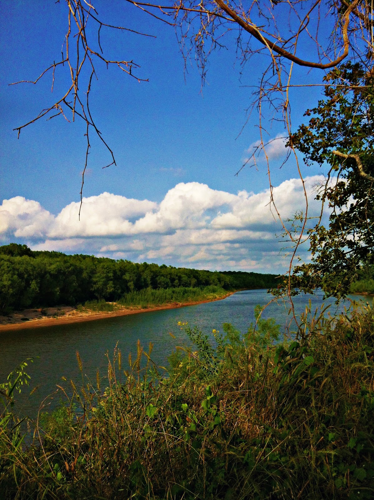 Life Is A Journey: Stephen F. Austin State Park