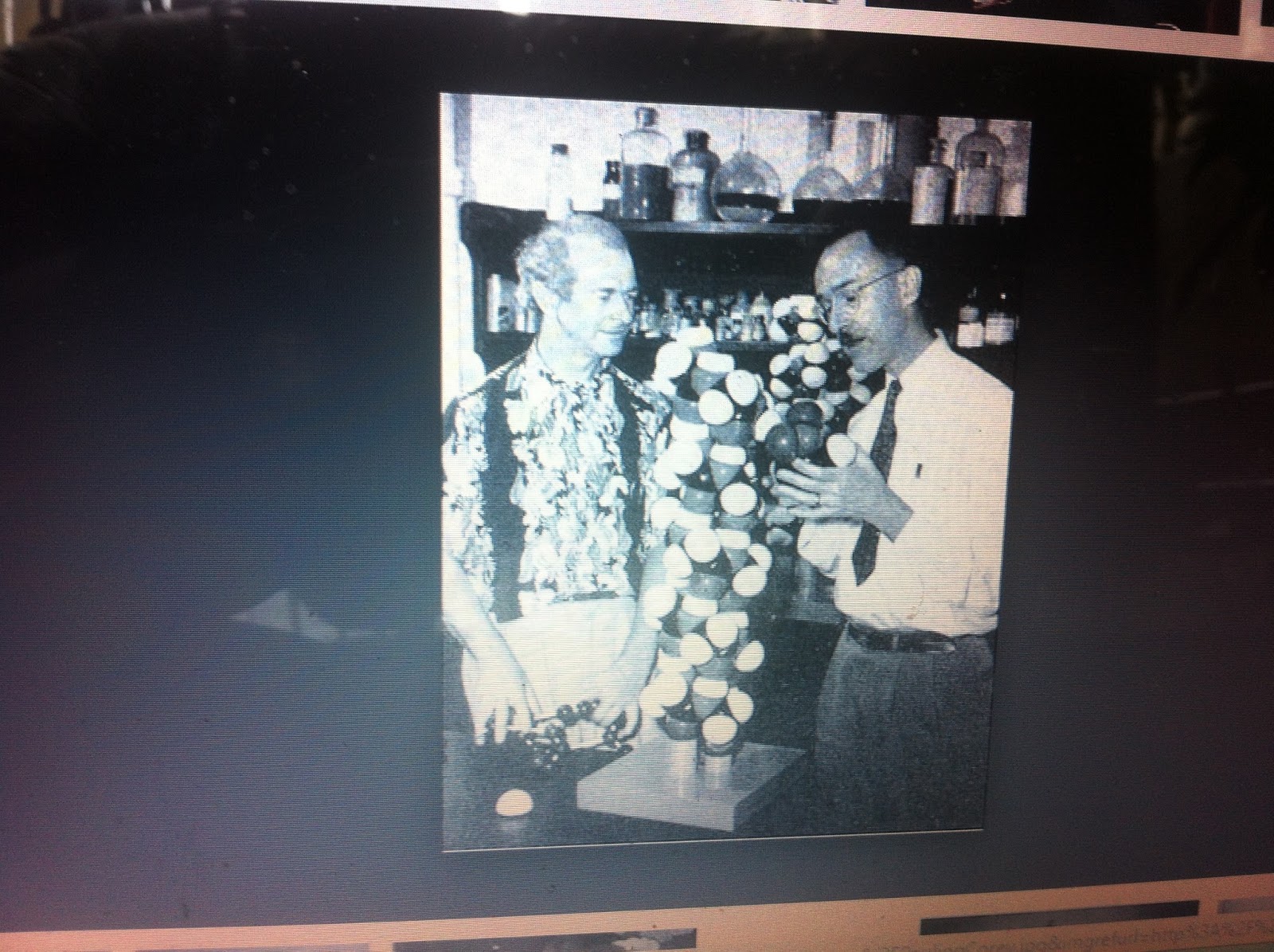 THE BLACK SOCIAL HISTORY:: BLACK SOCIAL HISTORY : AFRICAN AMERICAN ...