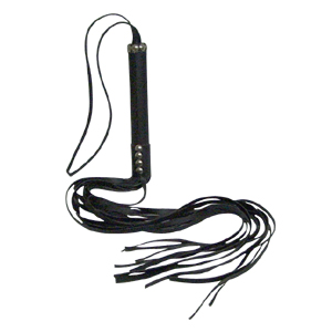 APCES: O BRASIL DA CHIBATA