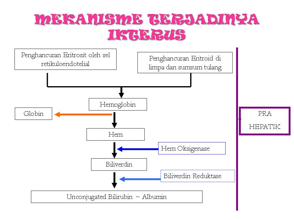 HeaLtH: Ikterus