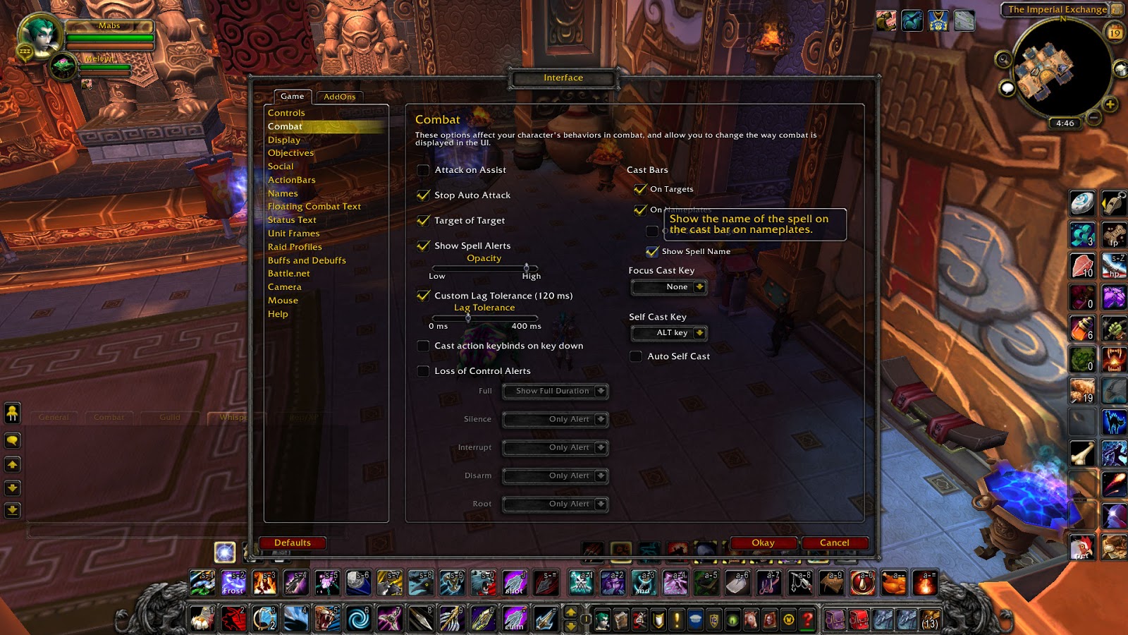 Marksman Hunter: Tactics #2: Interrupts