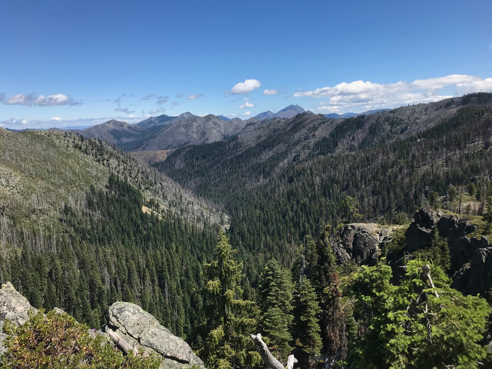 The Siskiyou Crest : Klamath Forest Alliance, Siskiyou Field Office: A ...