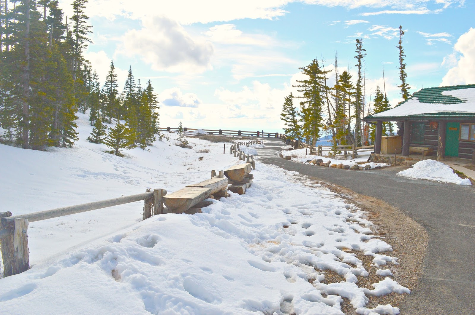 A Local Wander: Cedar Breaks National Monument: An Alternative to Busy ...