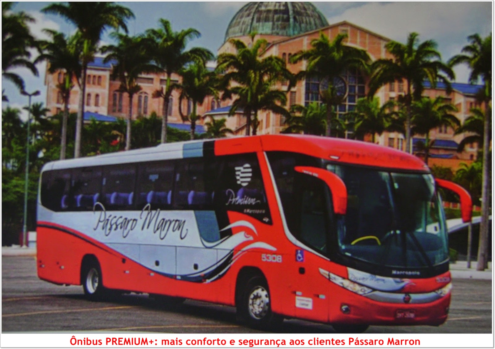 Litoralbus10: Pássaro Marron e Litorânea colocam 19 novos ônibus em ...