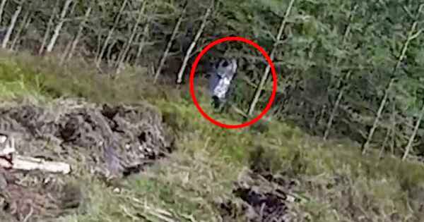 5 Most Haunted Forests in the World