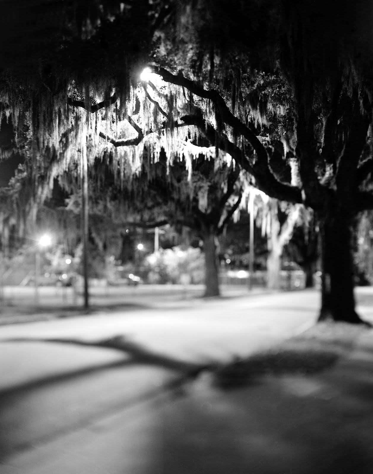 PHOTO REAL: Southern Gothic