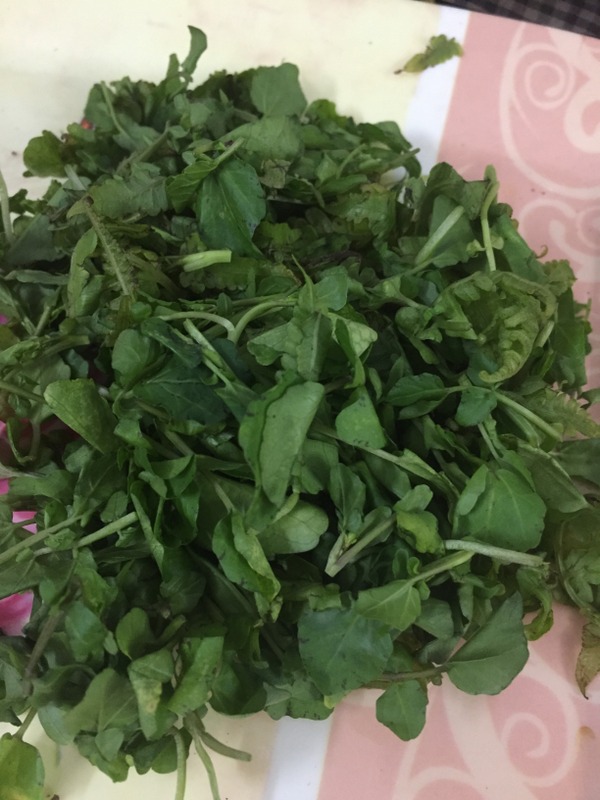 Sikkim Cuisine - Ribbons to Pastas