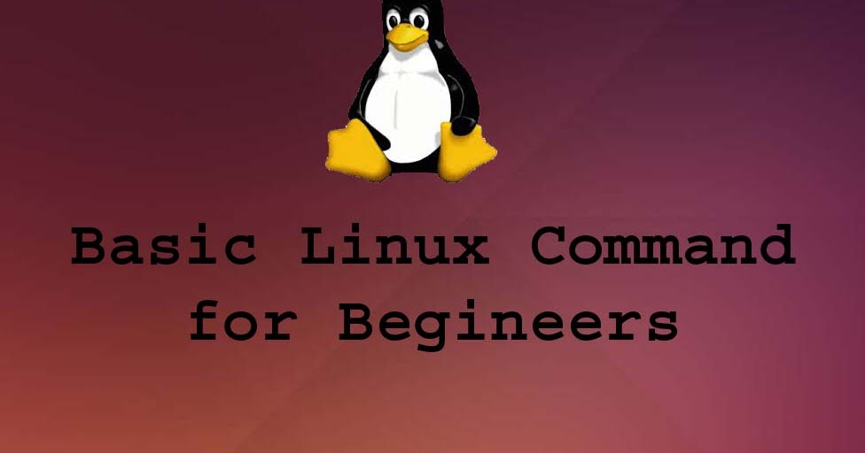 Basic Linux Commands for Beginners