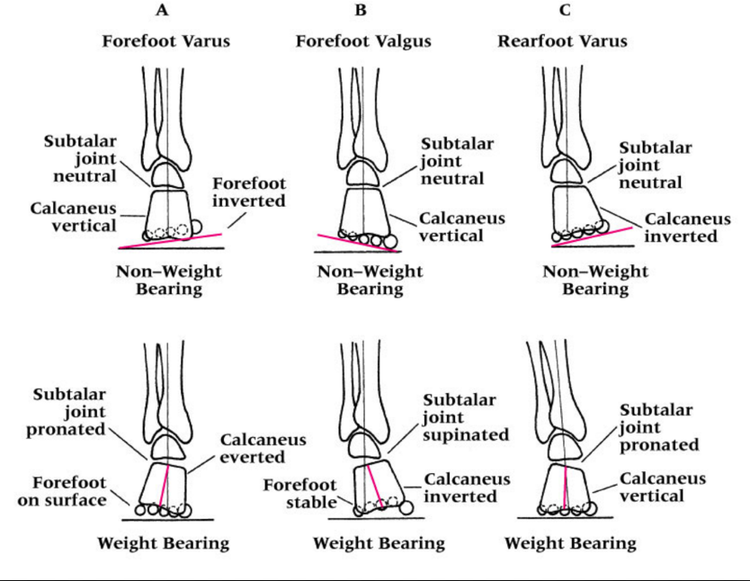 PhysioMotion: September 2017