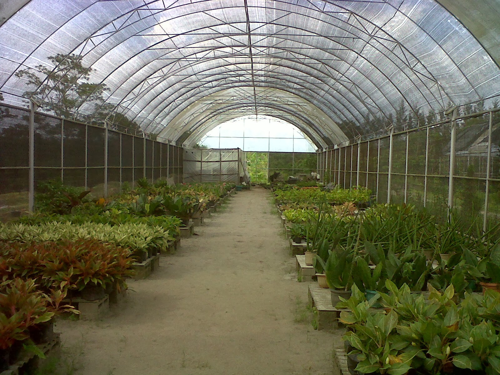 Bangka Botanical Garden (BBG): Primadona Wisatawan di Bangka ~ Blog ...