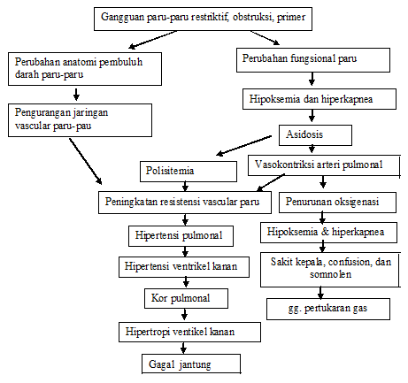 Kor Pulmonal ~ Informasi Kedokteran Dan Kesehatan