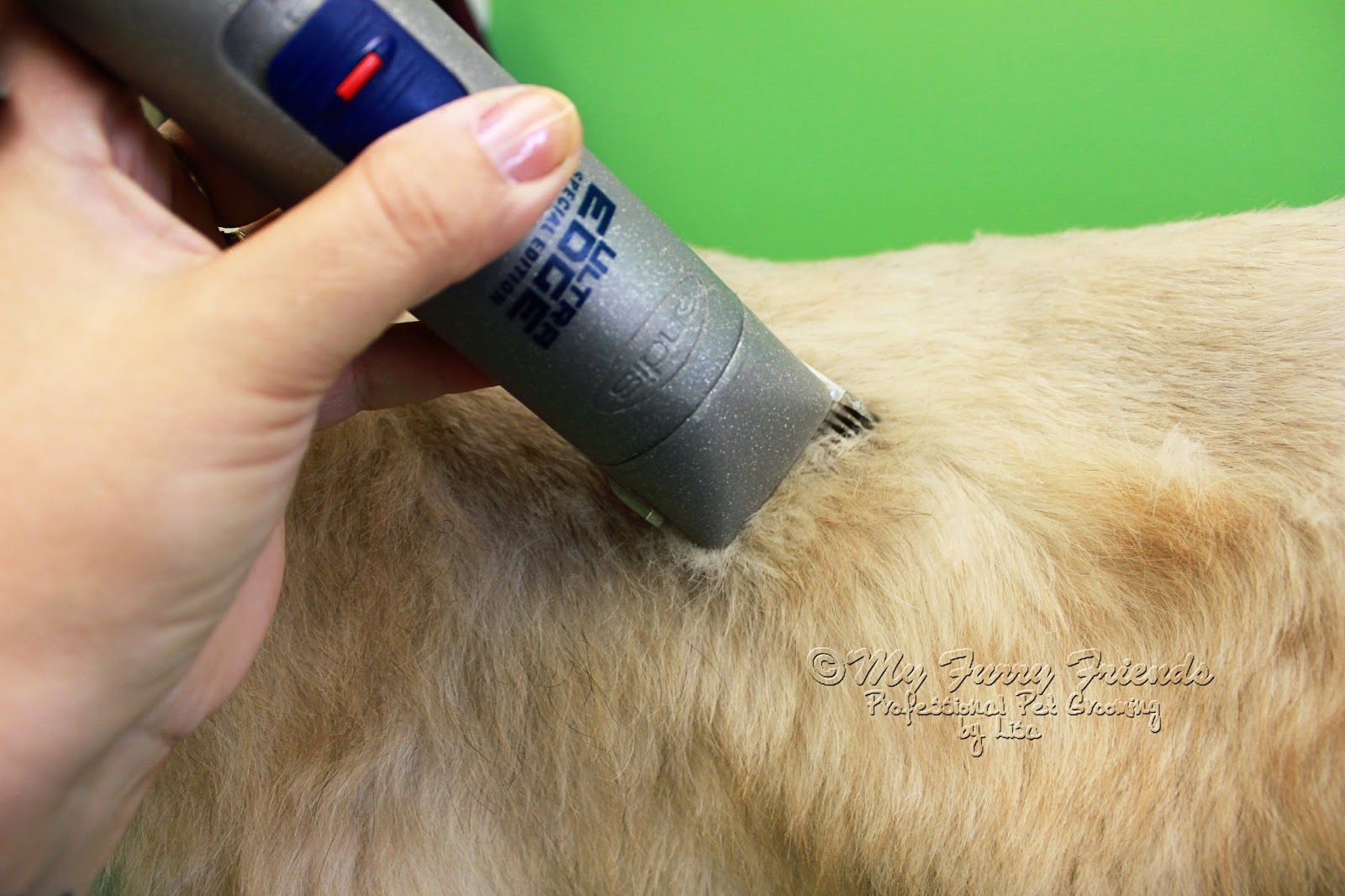 Pet Grooming: The Good, The Bad, & The Furry: Smooth Clipping
