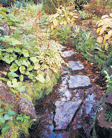 IWANNA: Hatcher Garden & Woodland Preserve