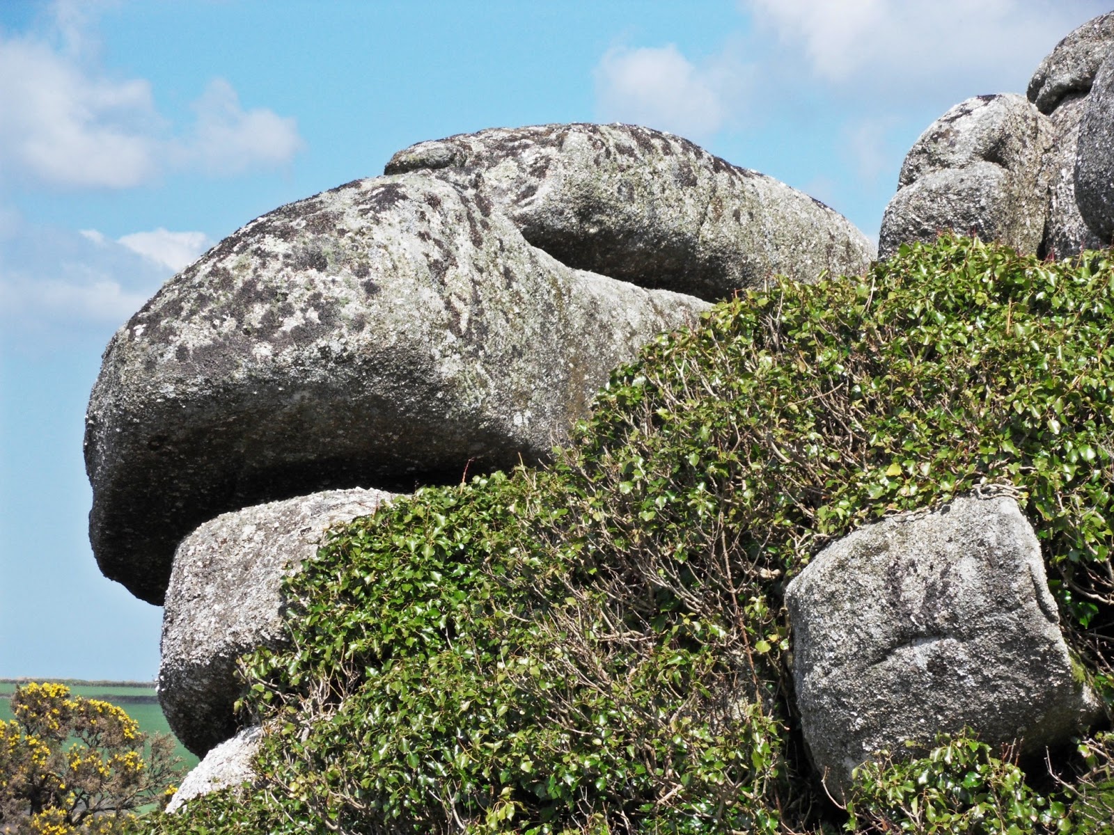 67 Not Out: The Granite Dinosaur And Turtle Guarding Helman Tor Cornwall