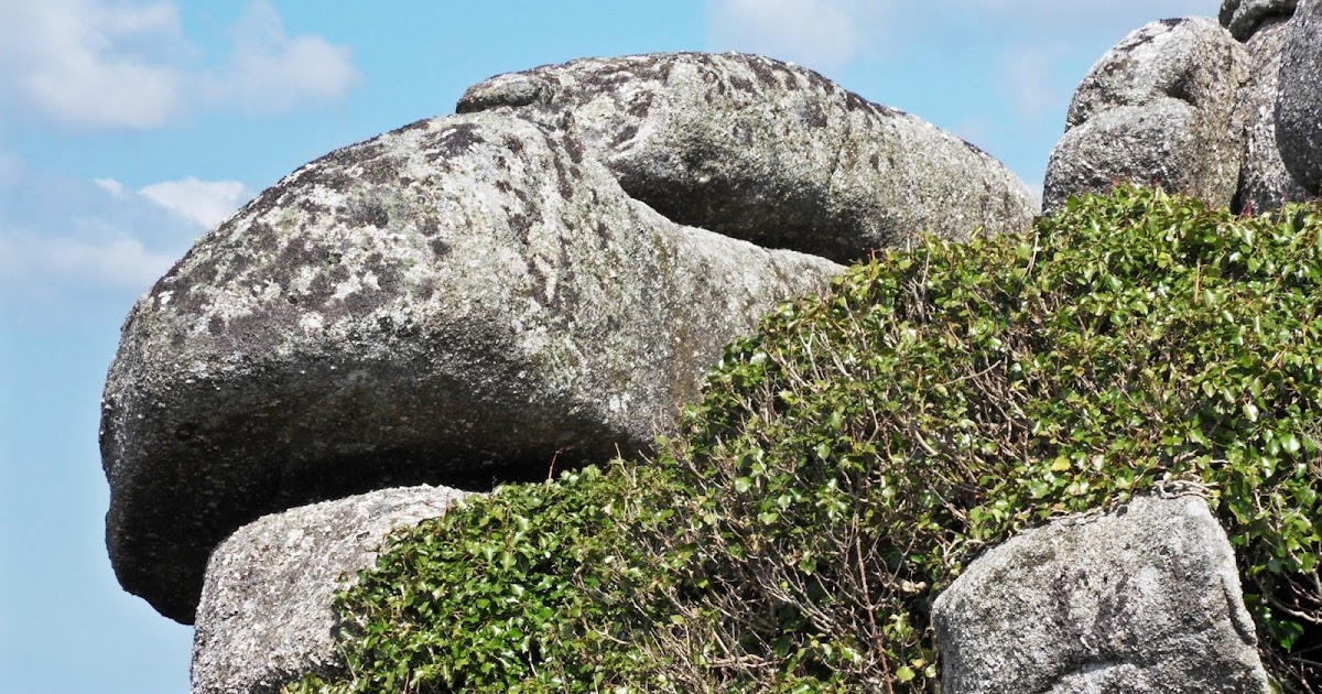 67 Not Out: The Granite Dinosaur And Turtle Guarding Helman Tor Cornwall