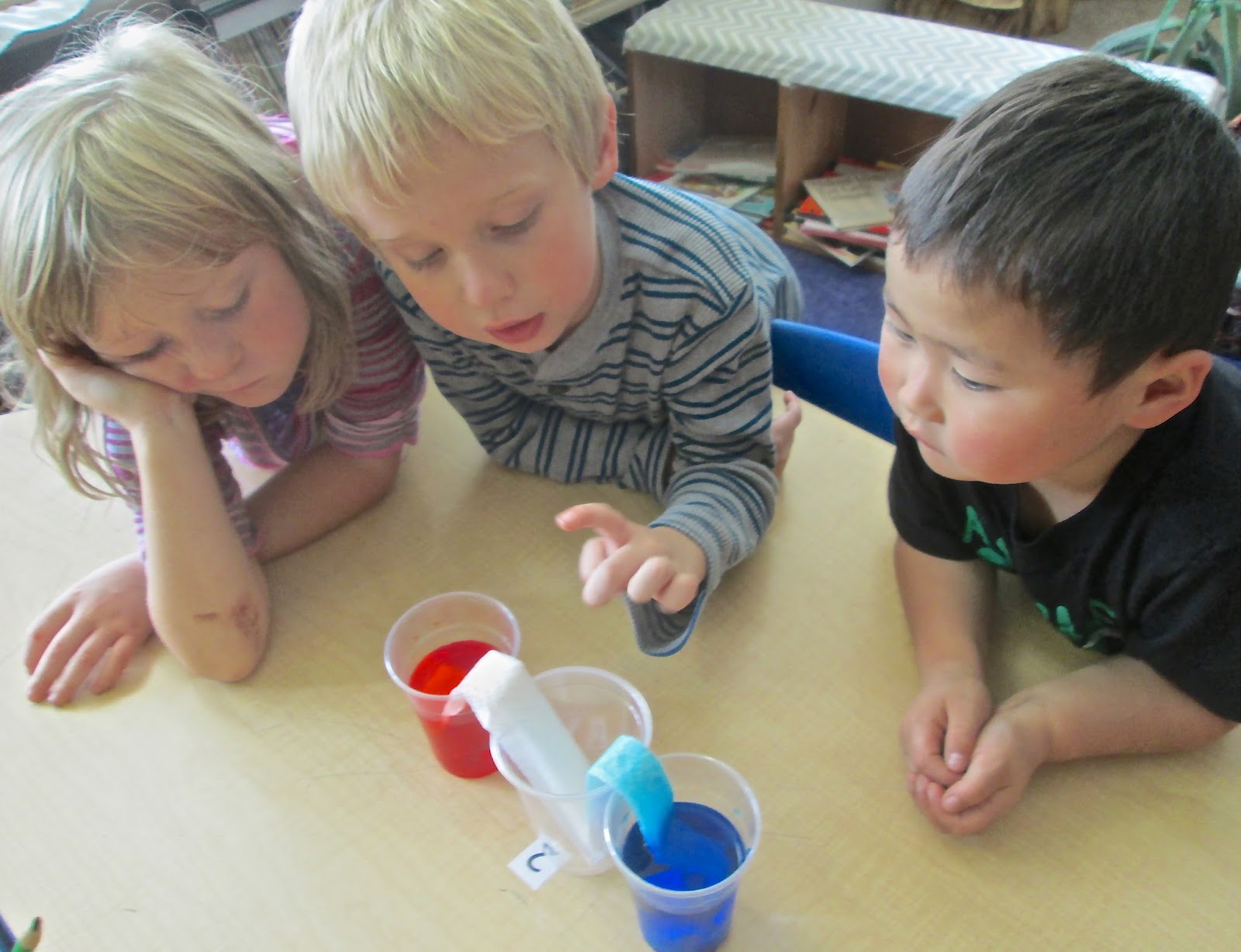 Mrs. Garrabrant's Classroom: Leaf Pictures, Purple Experiment, Library ...