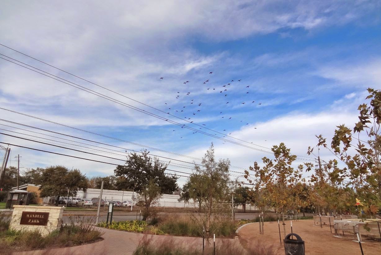 Houston in Pics: The "New" Mandell Park in all its revitalized glory -