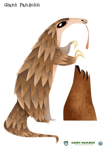 Green Humour: Pangolins of the World