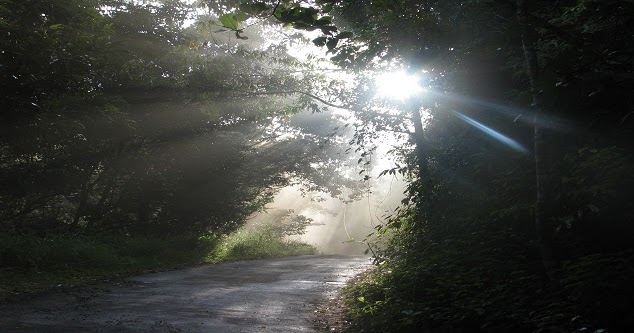 Gavi Tourist Information Center- Contact-Gavi Kerala Booking Contacts