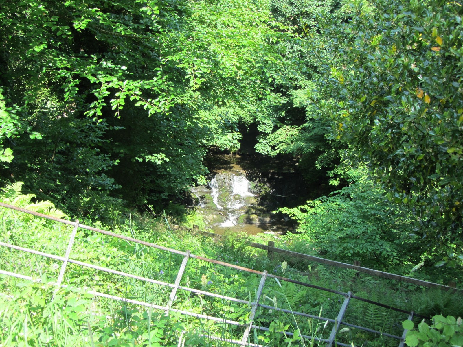 *Nina's Bargain Beauty*: Places to Go in Ireland : Dun Na Ri Forest Park