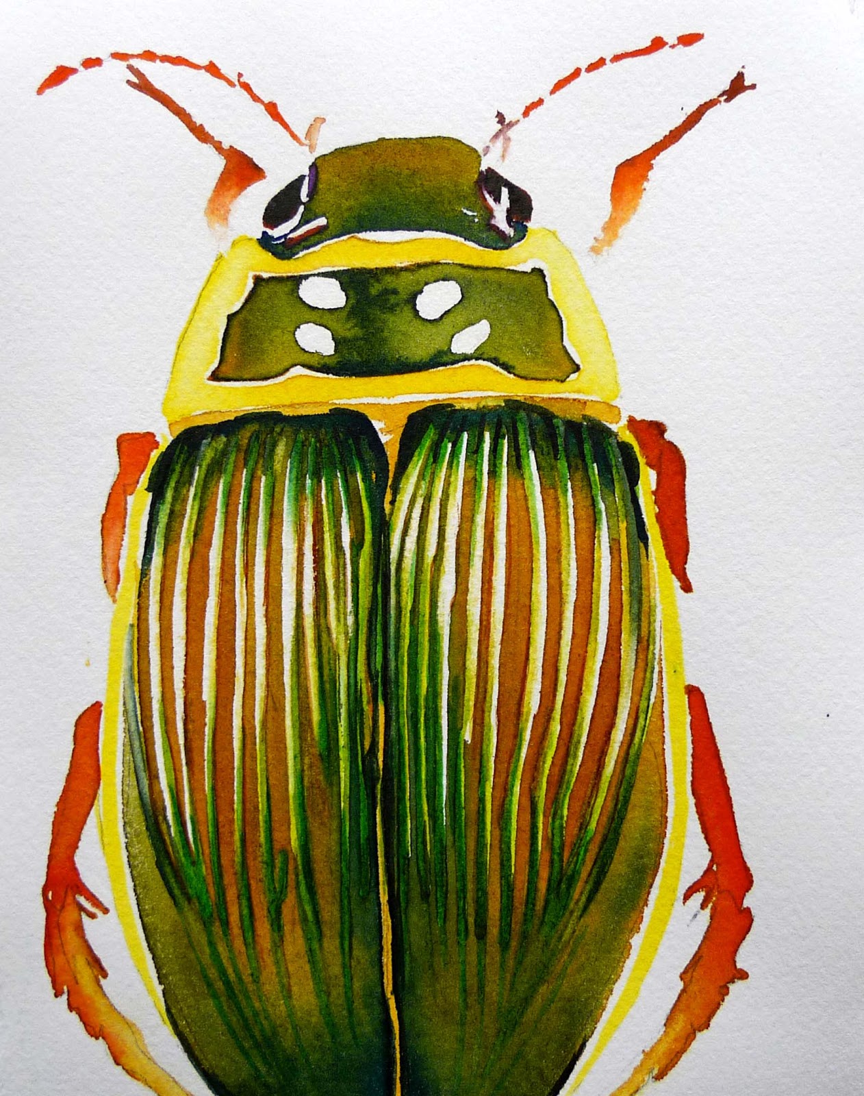 paintings: Bugs bugs bugs