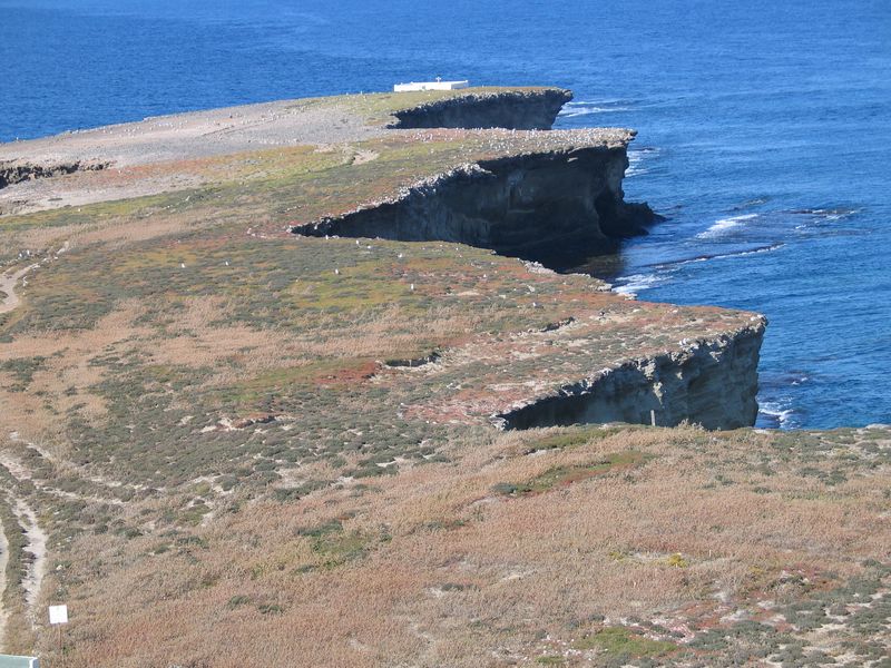 El Nieto del Espartero: Isla de Alboran.-Patrimonio Natural.