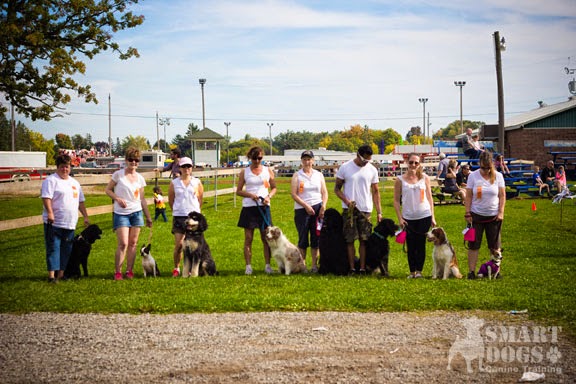 Common Sense Dog Training In Milton Ontario September 2014 common-sense-dog-training-in-milton-ontario-september-2014