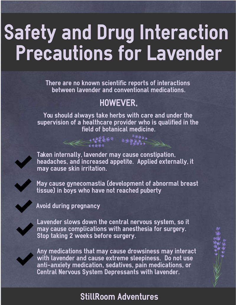 Medicinal Uses for Lavender
