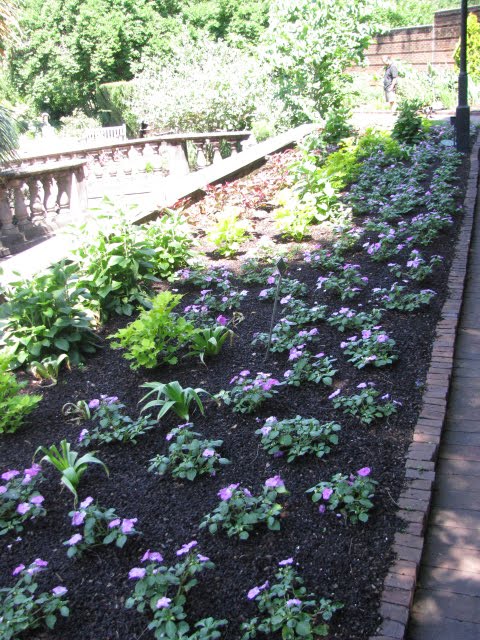 In the Garden: Peanut Mulch