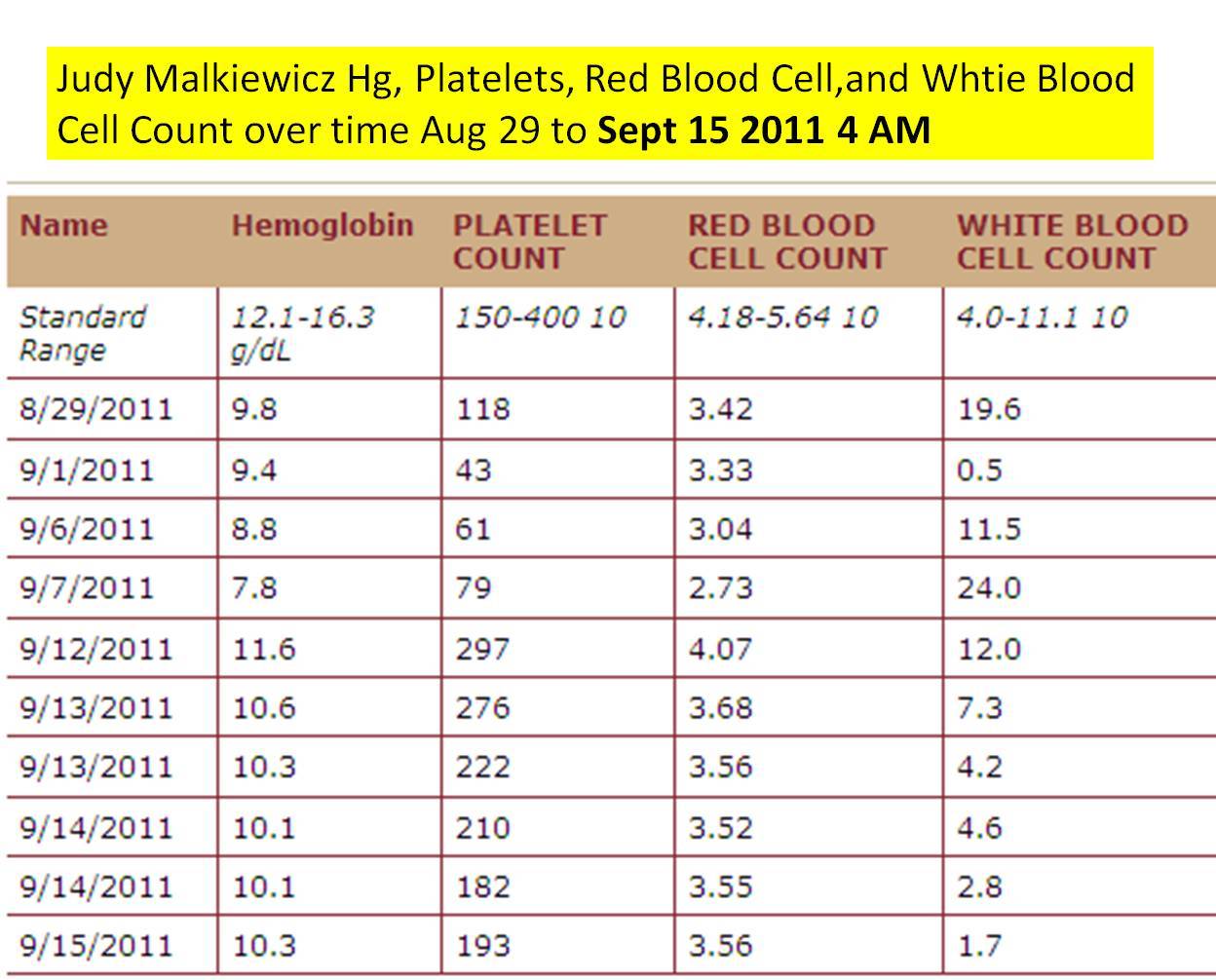 jm's Adventure with Multiple Myeloma: Day 2 - Thursday September 15 2011