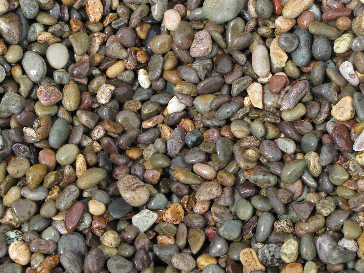 Alaska and Beyond Through Artists' Eyes: A Special Place