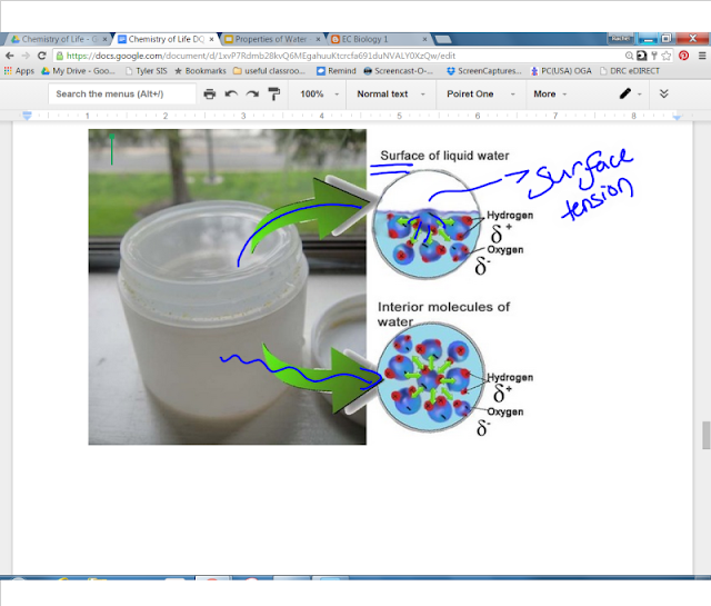EC Honors Biology: Wednesday September 30th - Adhesion and Capillary Action