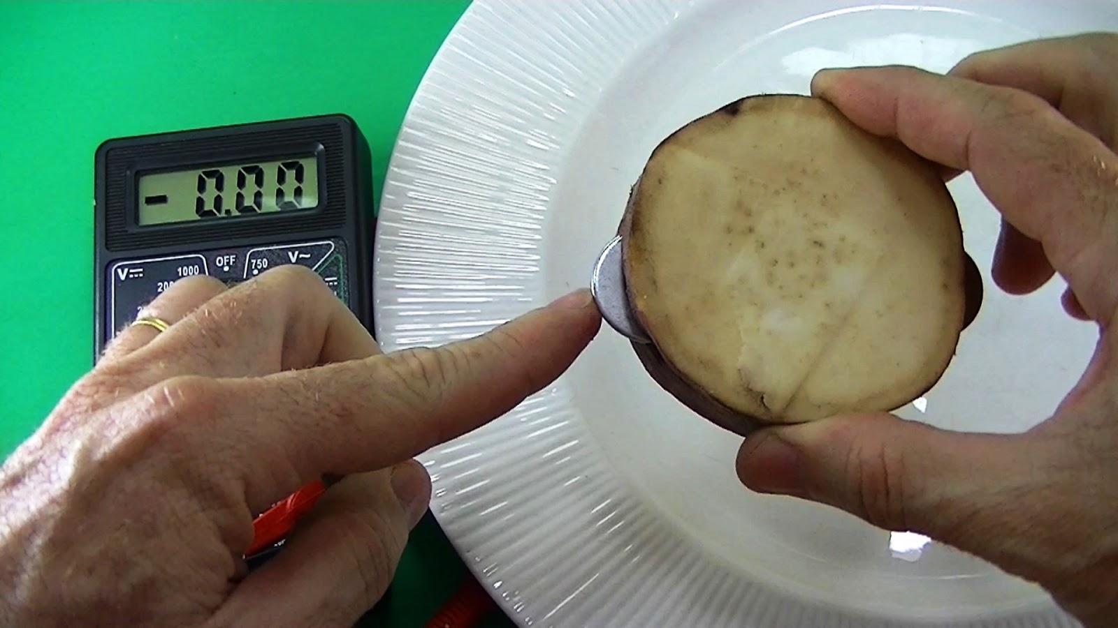 A ARTE DE APRENDER BRINCANDO: COMO FAZER UMA SUPER PILHA CASEIRA