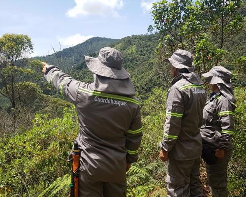 Medellín tiene Guardabosques