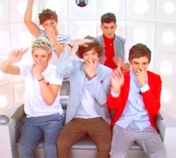 One Direction Lovers