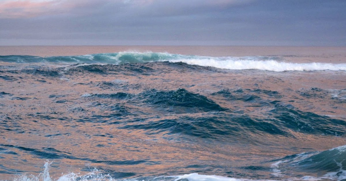 🍃 Ecosophical Perspectives: Ecosophy Succinctly...