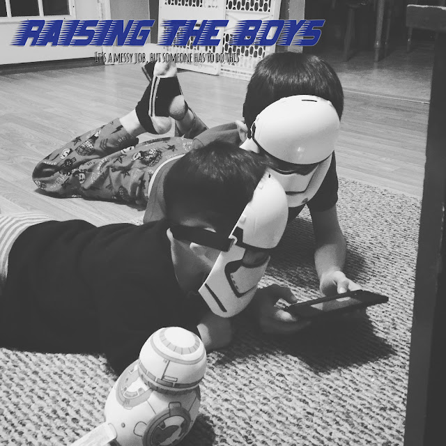 Stars, Stripes & Sarcasm: Toddler from Hell | Raising the Boys