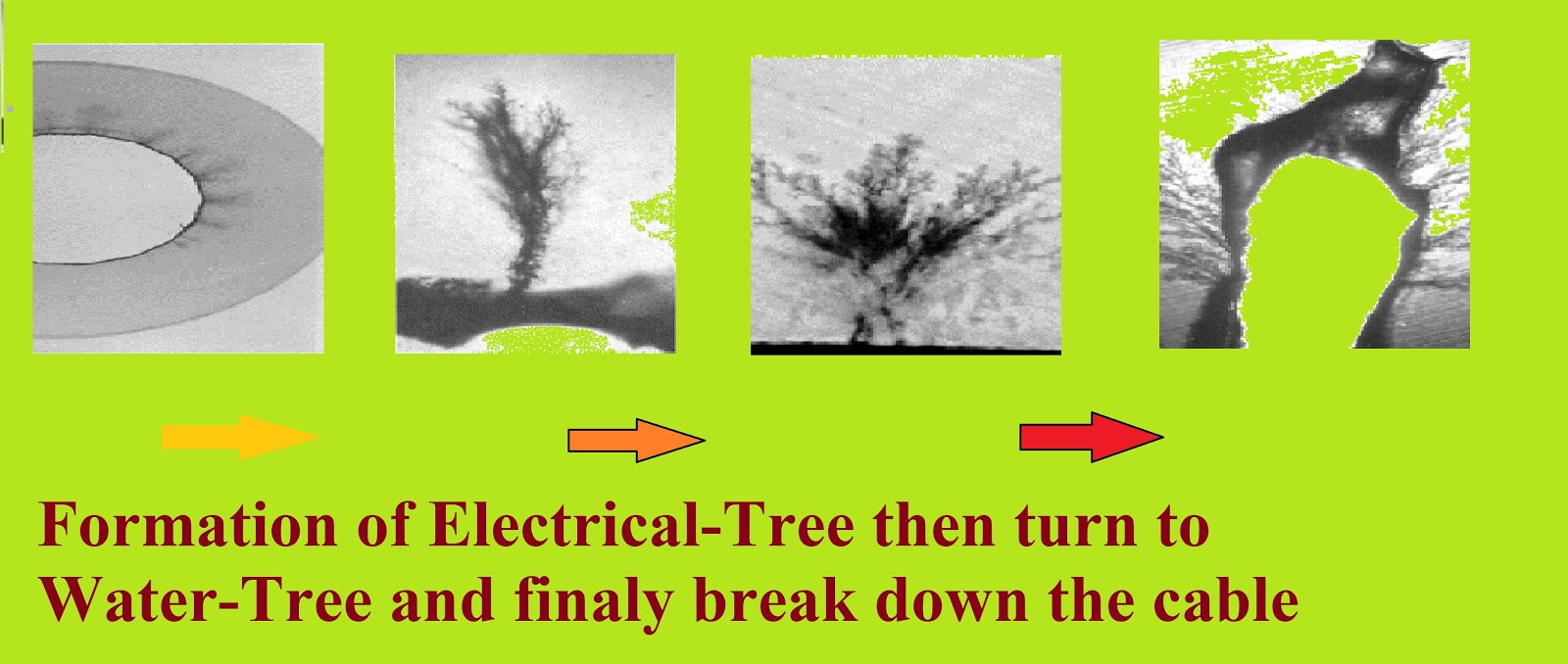 Electrical-Tree & Water-Tree